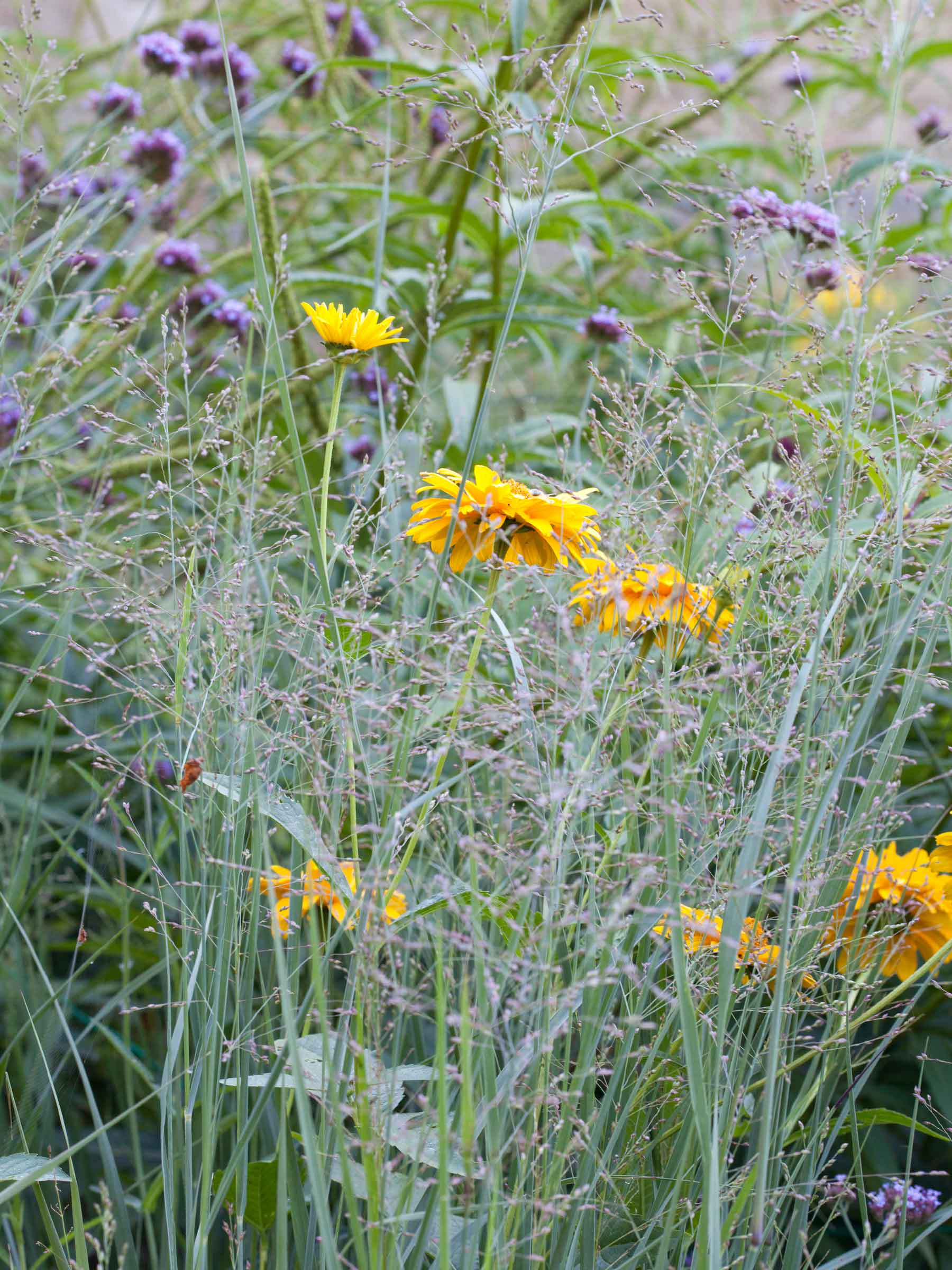Manor Barn – Seed Landscape Design